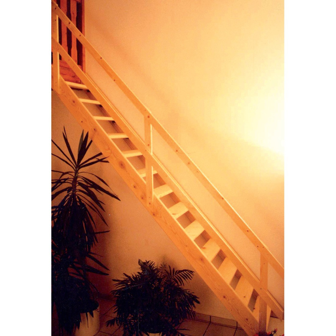 ESCALIER MEUNIER STANDARD - Escaliers gains de place : Échelle Canada